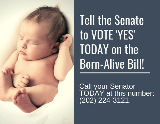 ACTION NEEDED: CALL YOUR SENATOR TO VOTE "YES" ON BORN-ALIVE BILL ...