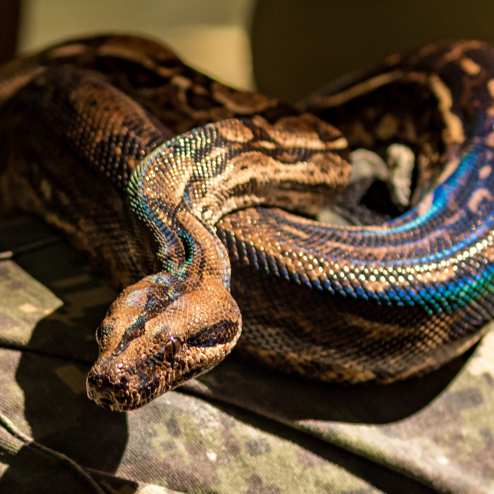 DELIVERANCE FROM JEZEBEL & LEVIATHAN: A POWERFUL TESTIMONY ...