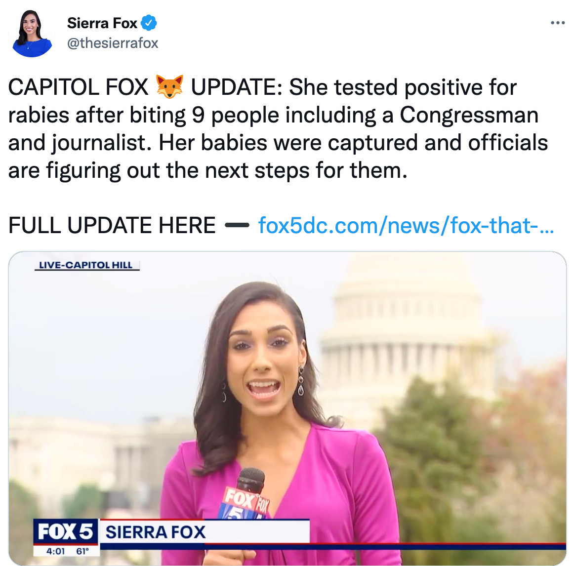 Beware the Little Foxes: A Warning on Capitol Hill - Intercessors for ...