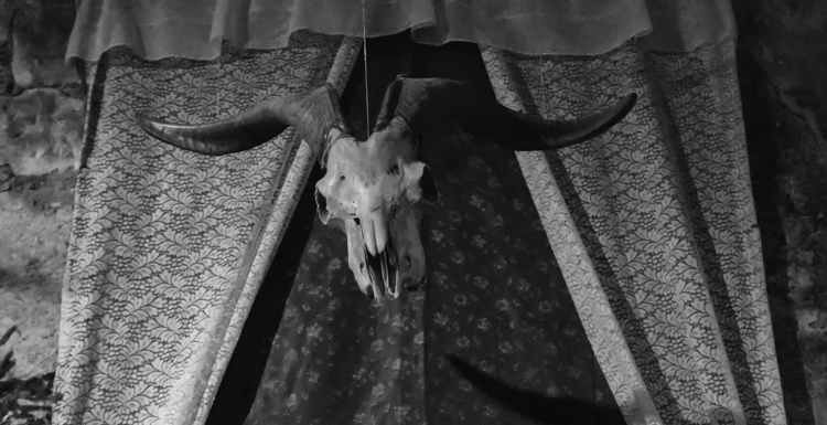 Satanic Sacrifice in the South? - Intercessors for America