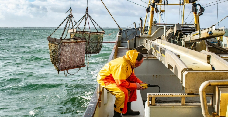 Crucial SCOTUS Case You've Never Heard About - Intercessors for America