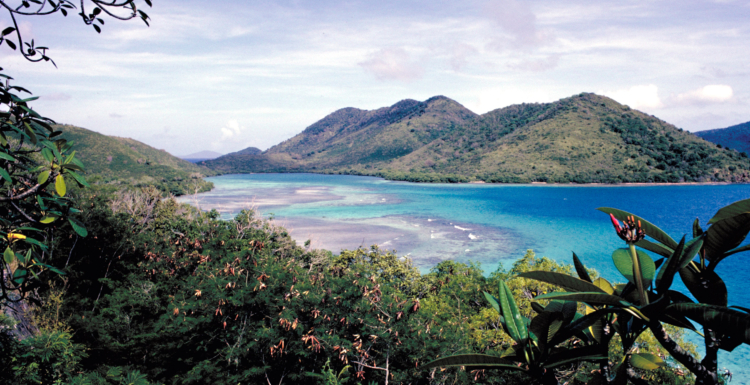 Caribbean Connections: Spirit Is Calling the USVI to Intercession