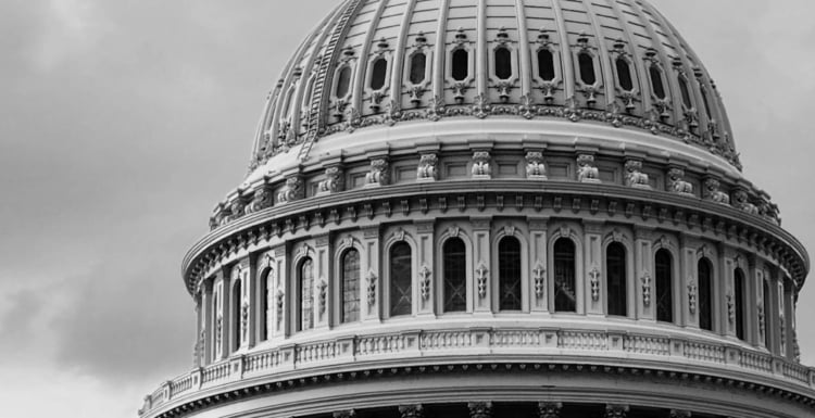 Trump Delays DNI Confirmation Fight as FISA Stalemate Deepens ...