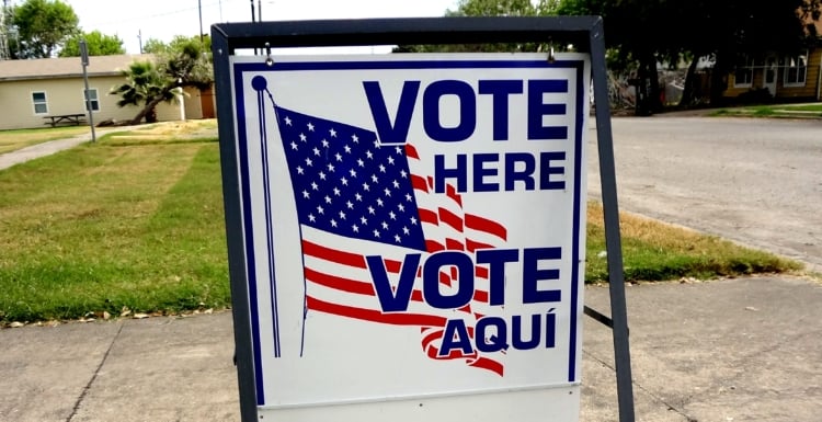 Should Noncitizens Vote in LA Elections? Voters Will Decide This ...